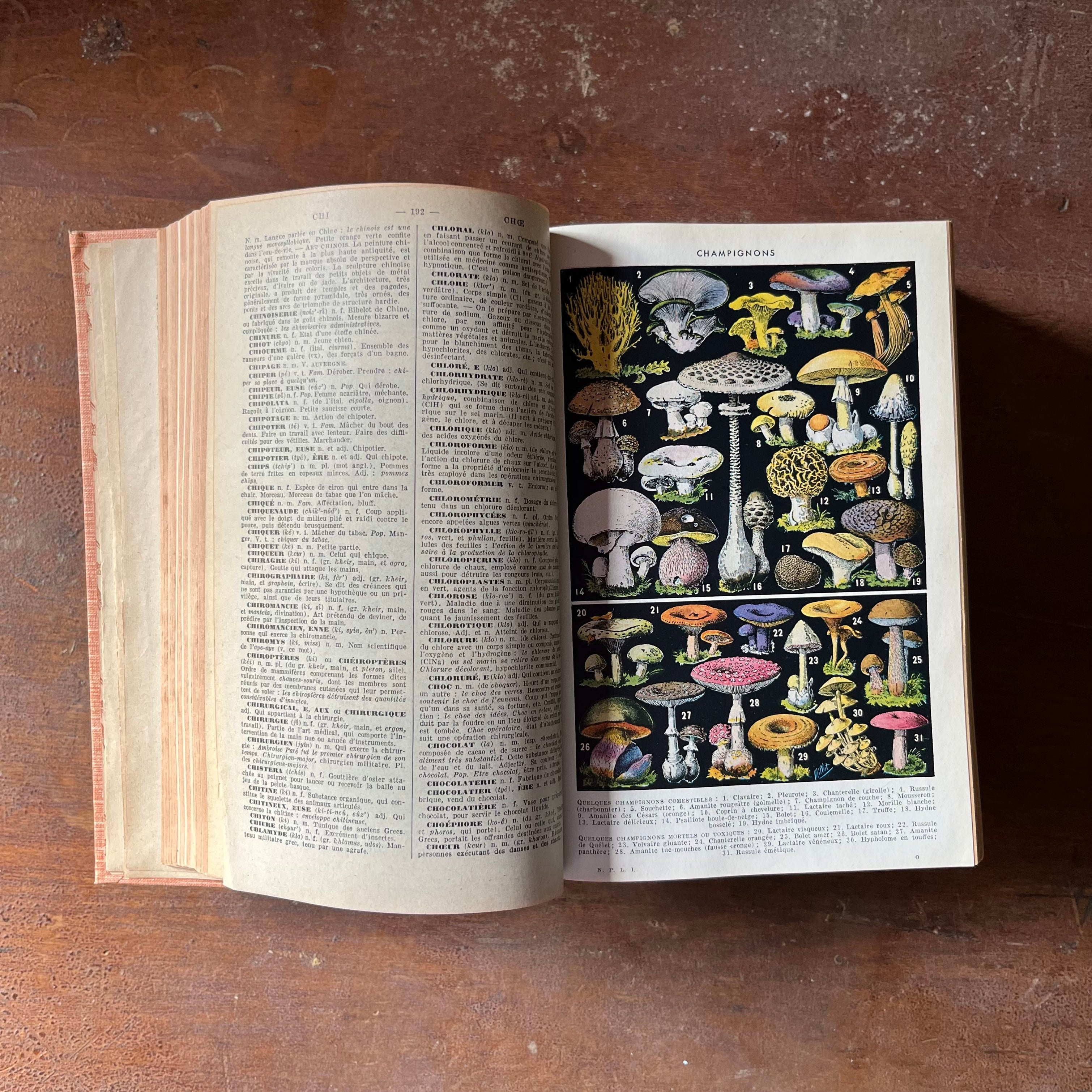 Nouveau Petit Larousse Illustre Dictionnaire Encyclopedique- 1955 Fren ...