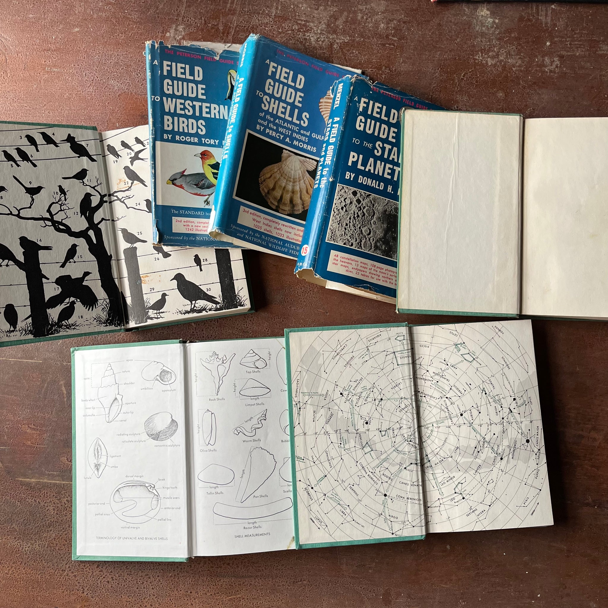 Peterson Field Guides by Roger Tory Peterson - Shells, Birds, Wildflow ...