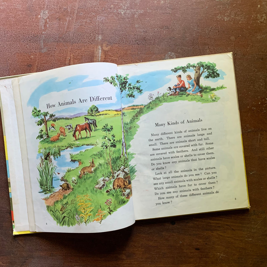Science Everywhere a 161 Ginn and Company School Book - Log Cabin Vintage