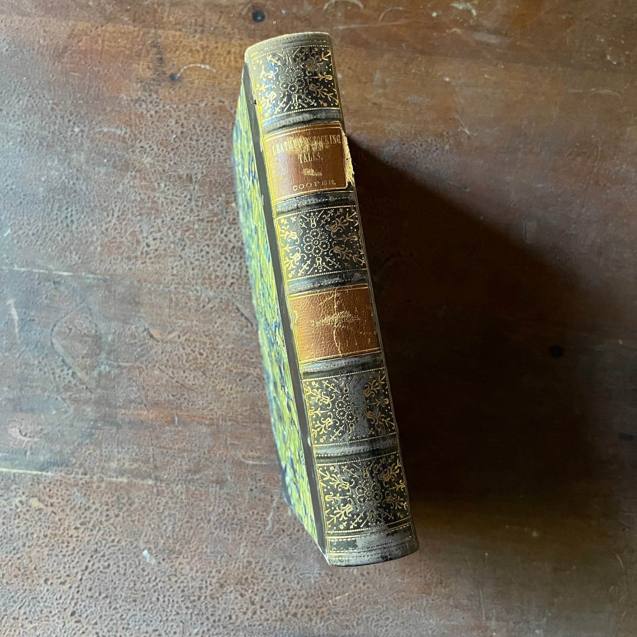 The Pioneers or The Sources of the Susquehanna by James Fenimore Coope ...