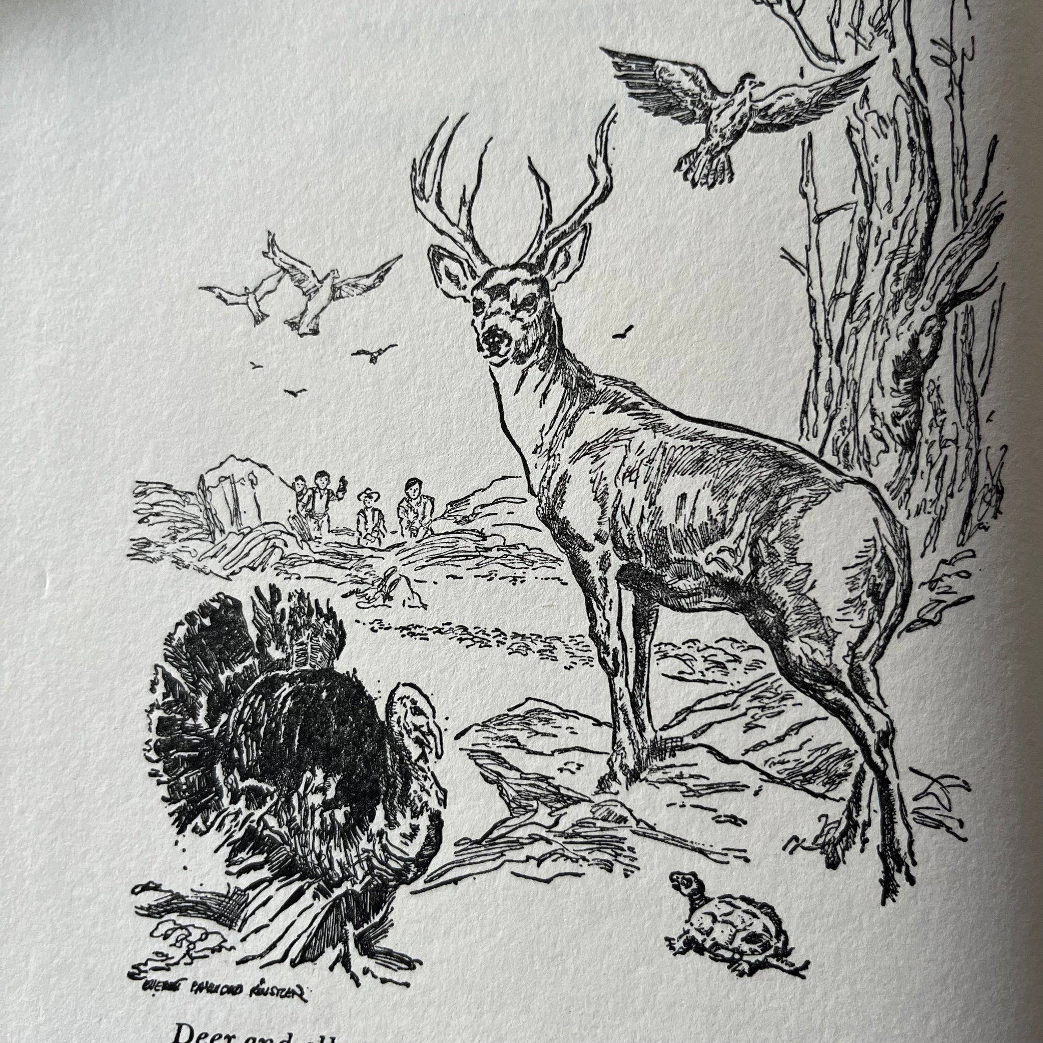 The Story of Dan Beard - A 1958 Signature Series Children's Book - Log ...