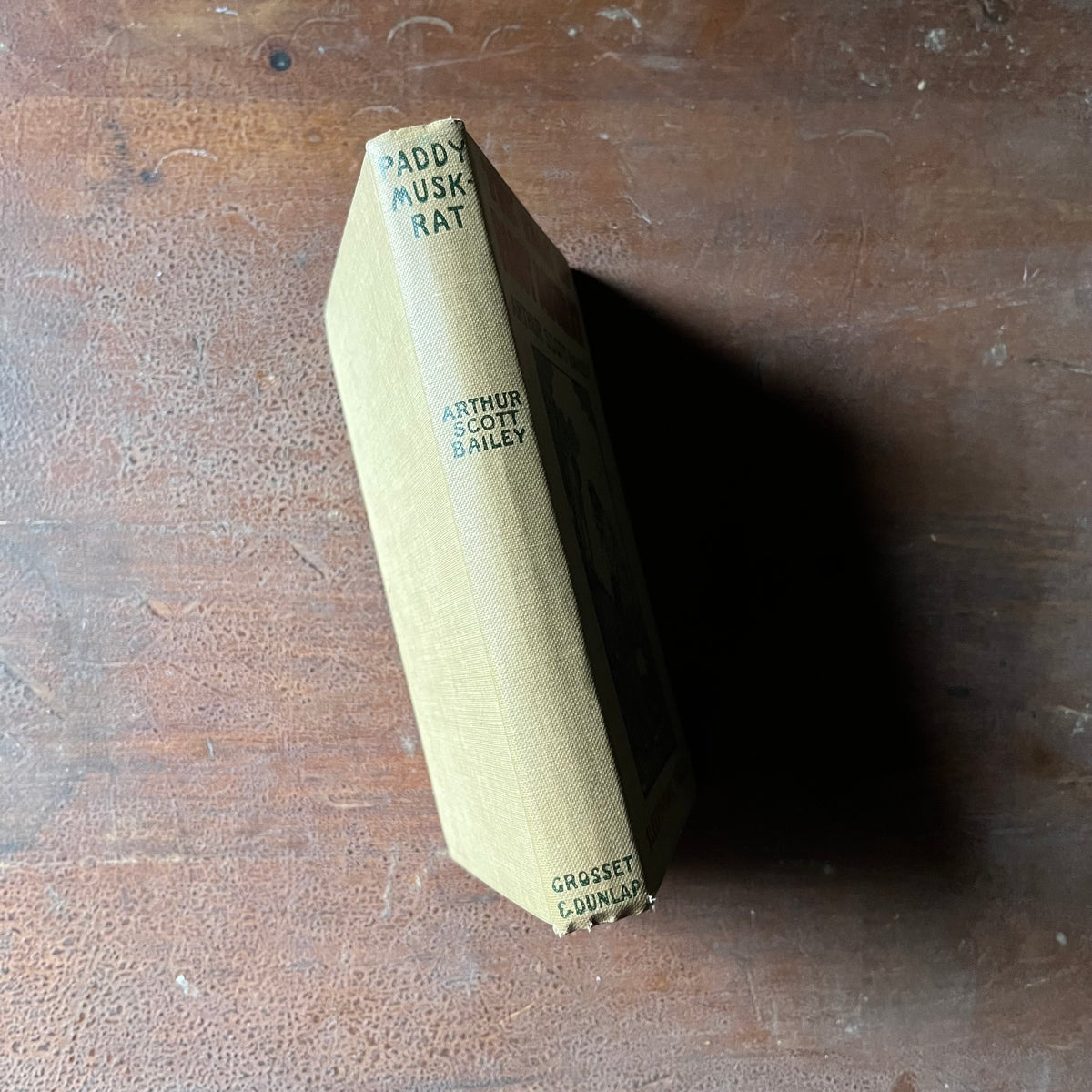 The Tale of Paddy Muskrat: Sleepy-Time Tales by Arthur Scott Bailey ...