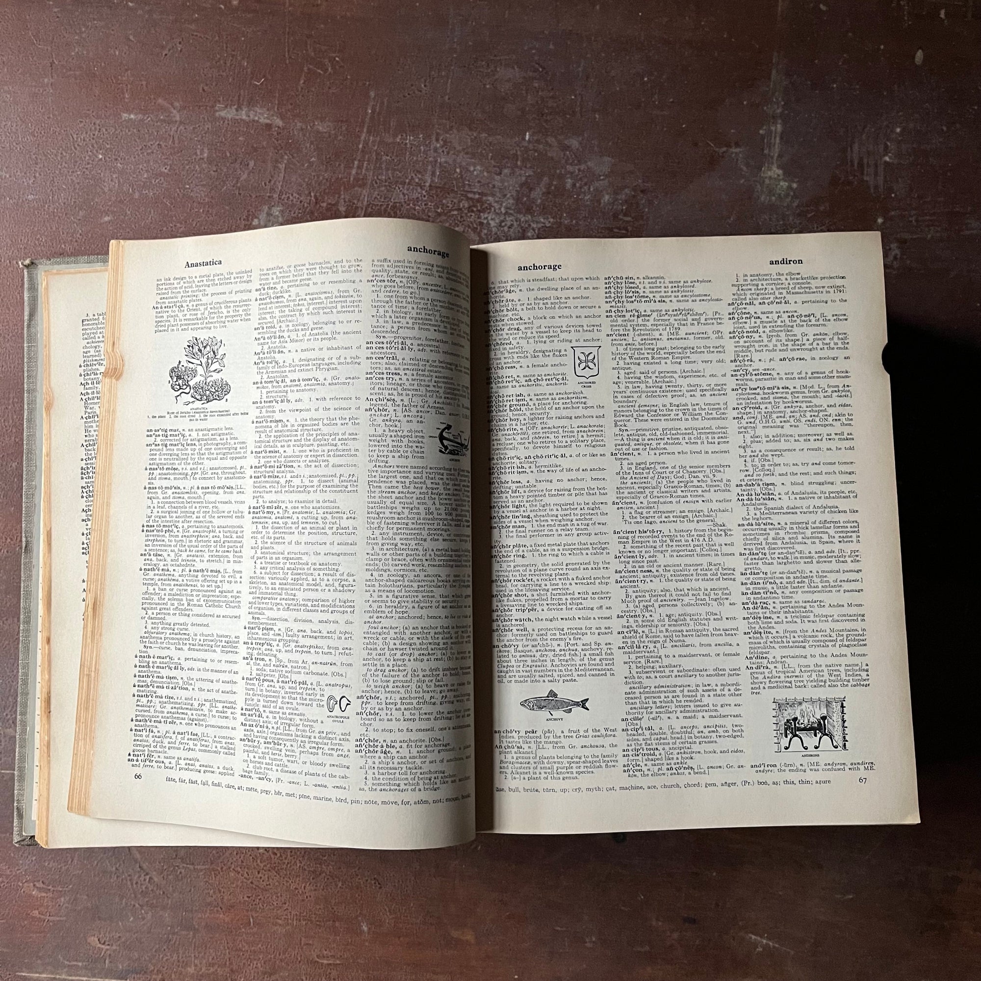 Webster's New Twentieth Century Dictionary - 1966 Unabridged Second Ed ...