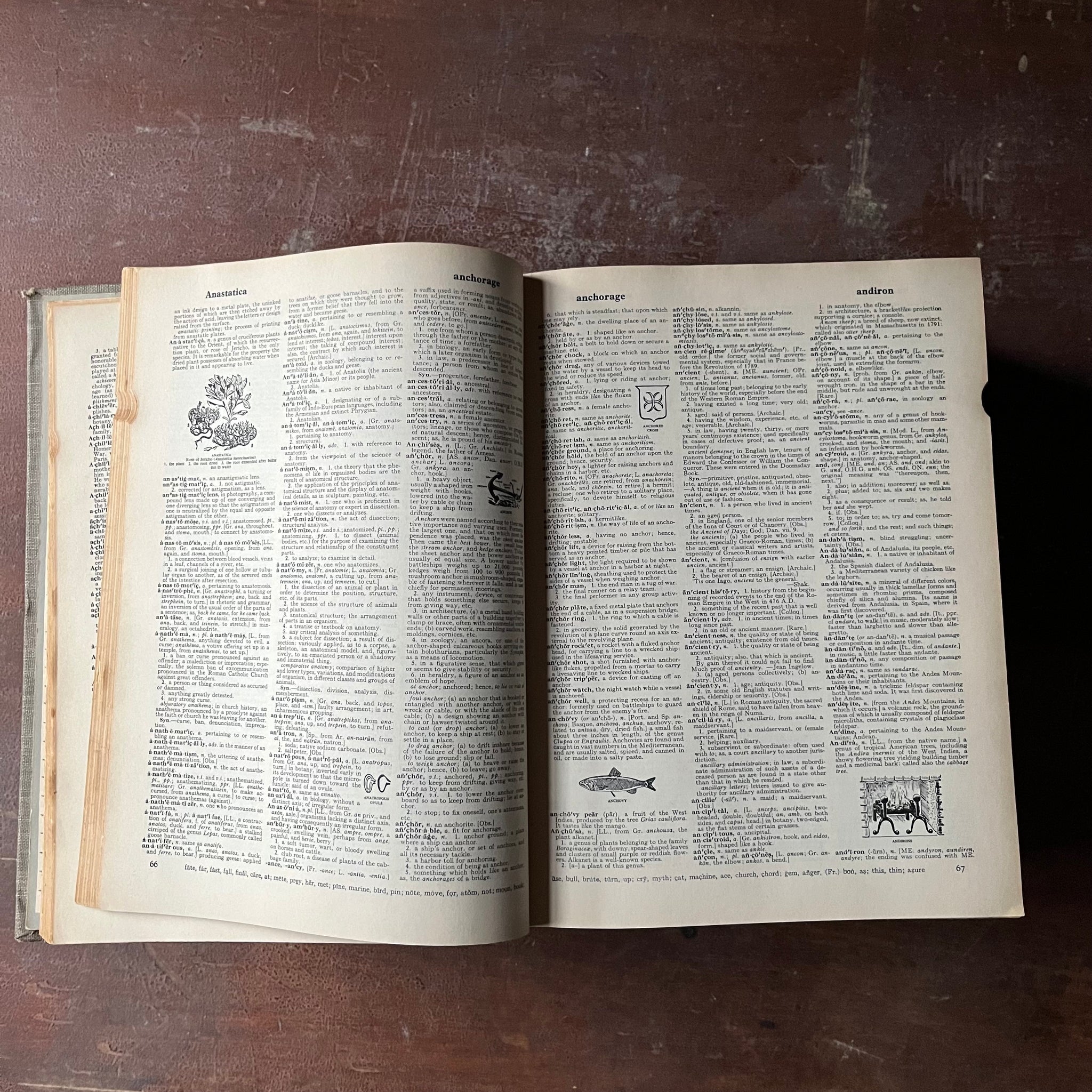 Webster's New Twentieth Century Dictionary - 1966 Unabridged Second Ed ...