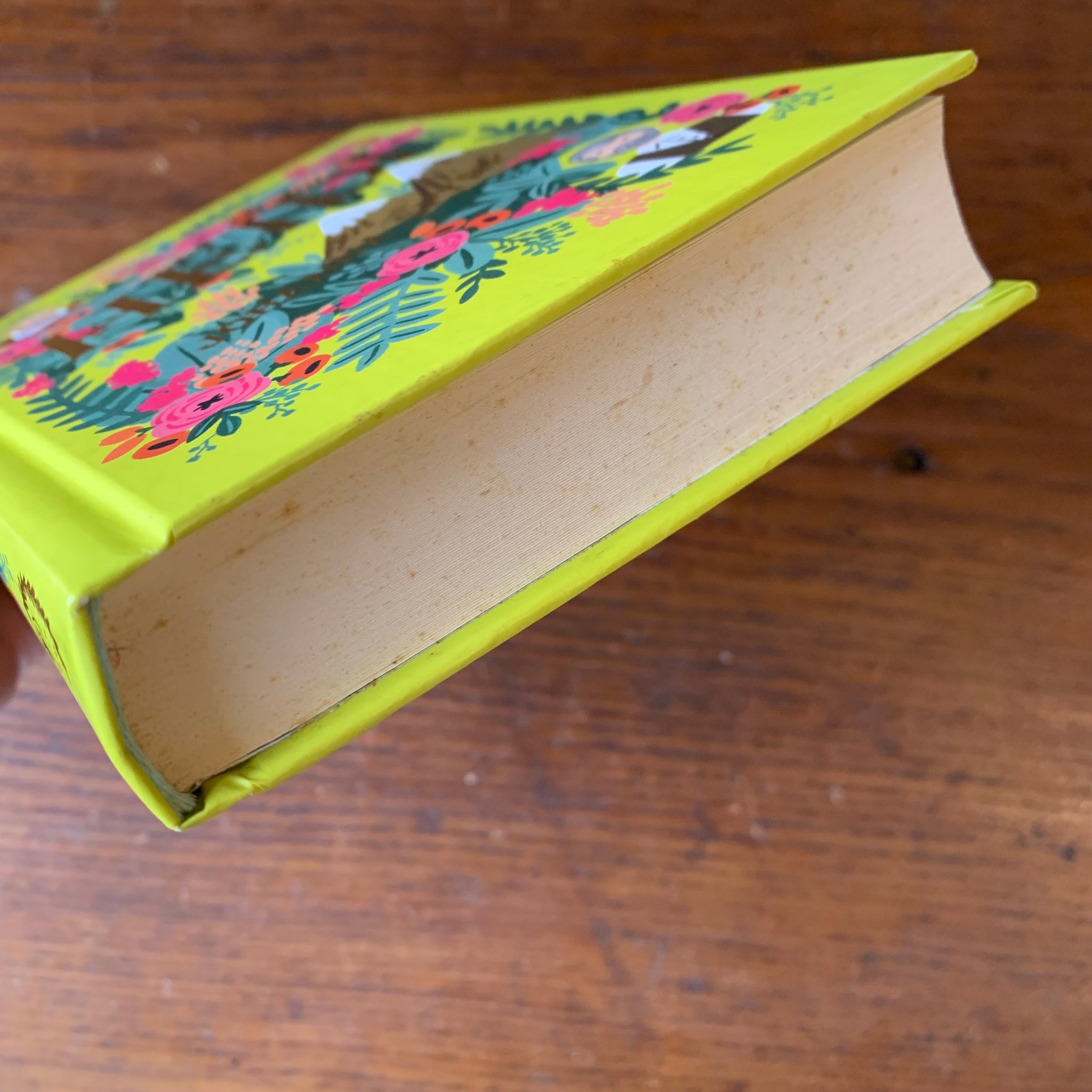 Heidi by Johanna Spyri - A Puffin in Bloom Edition - Illustrated by An ...