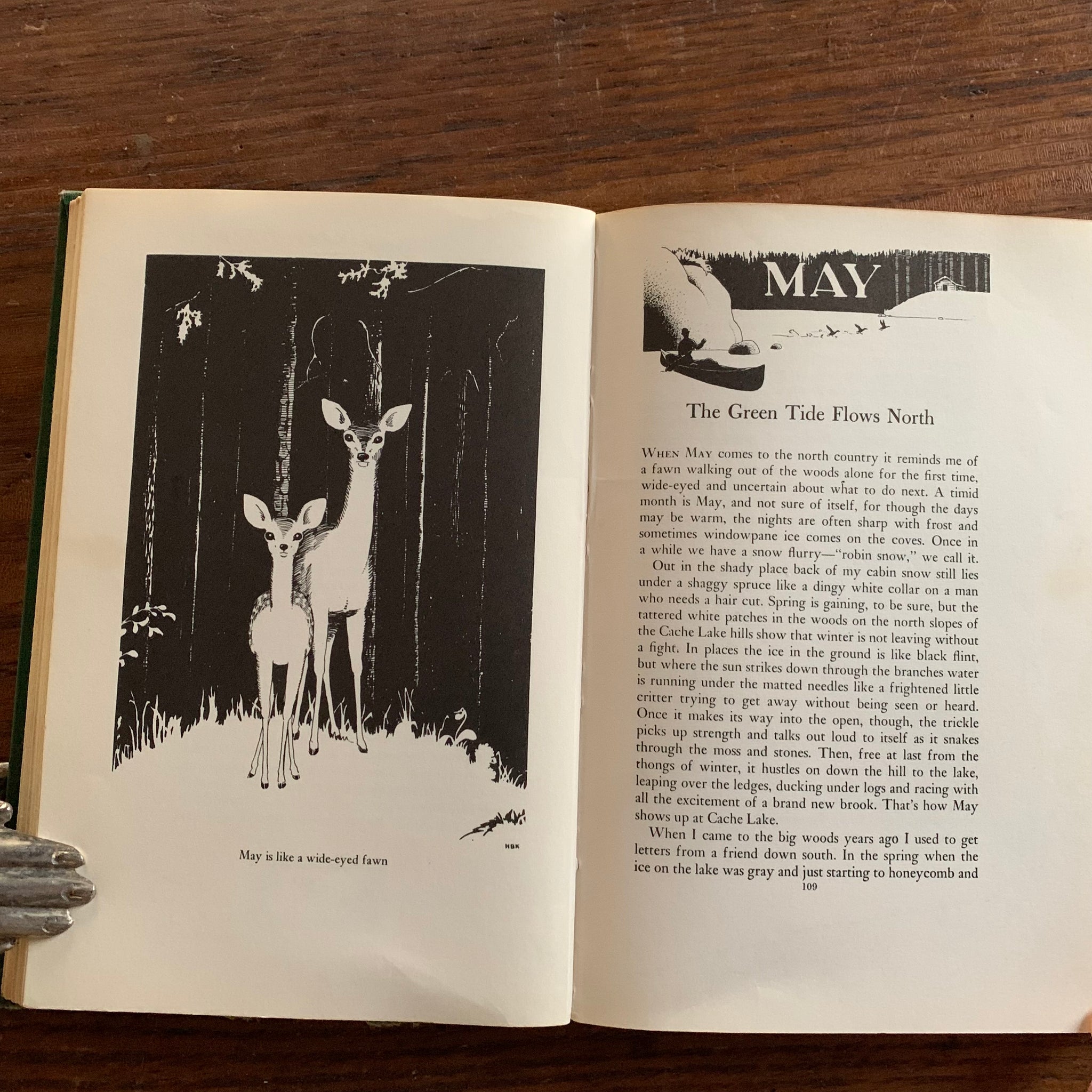 Cache Lake Country: Life in the North Woods by John J. Rowlands - Log ...