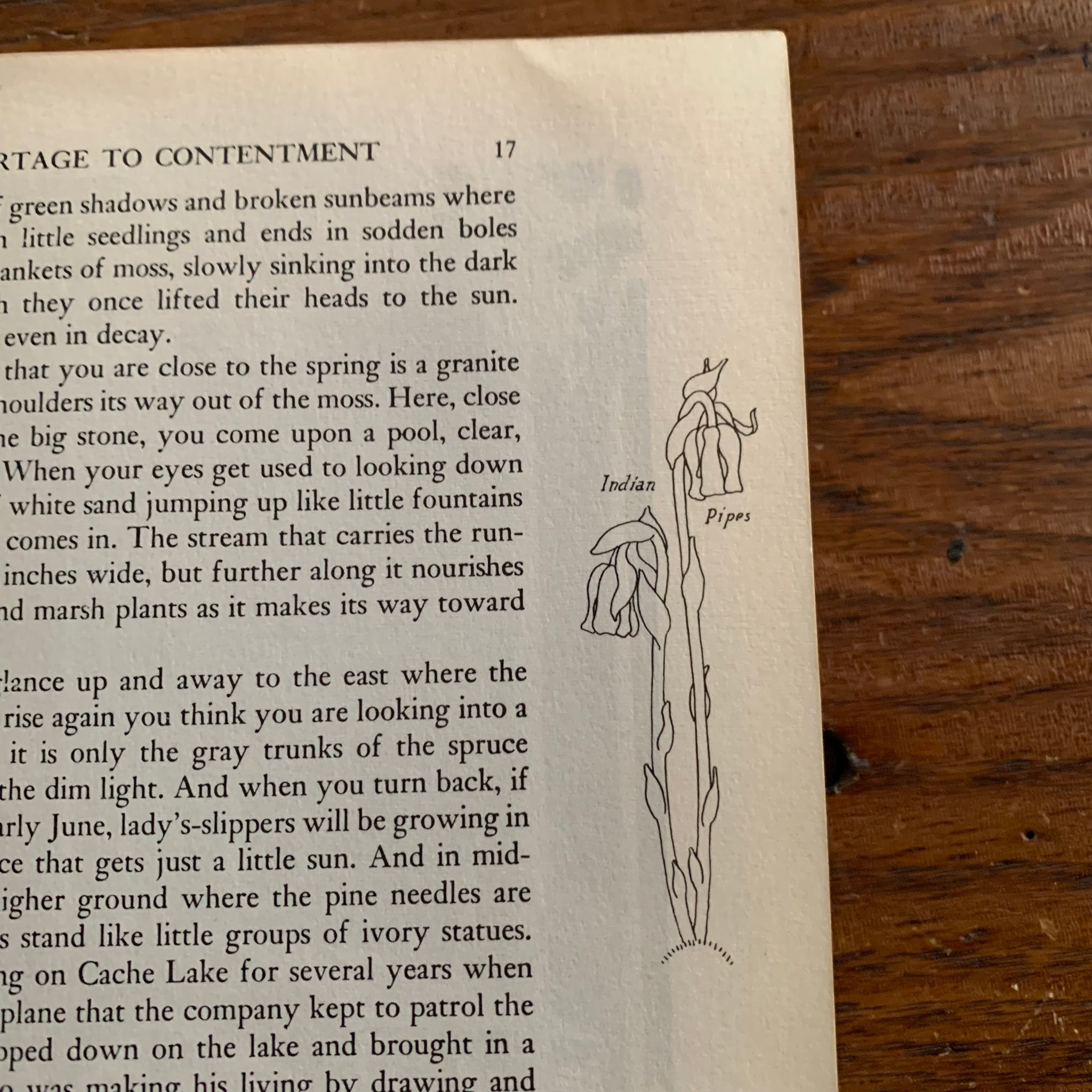 Cache Lake Country: Life in the North Woods by John J. Rowlands - Log ...