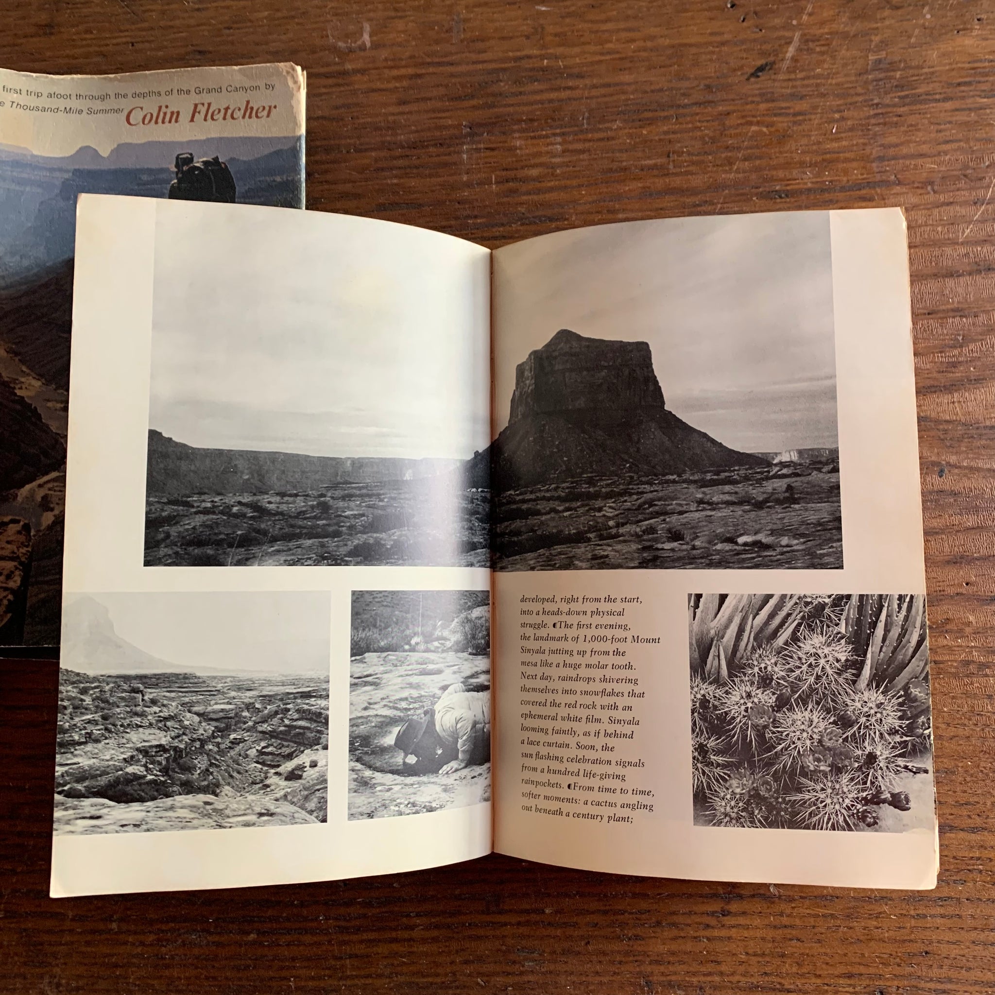 The Man Who Walked Through Time by Colin Fletcher - 1968 Alfred A. Kno ...